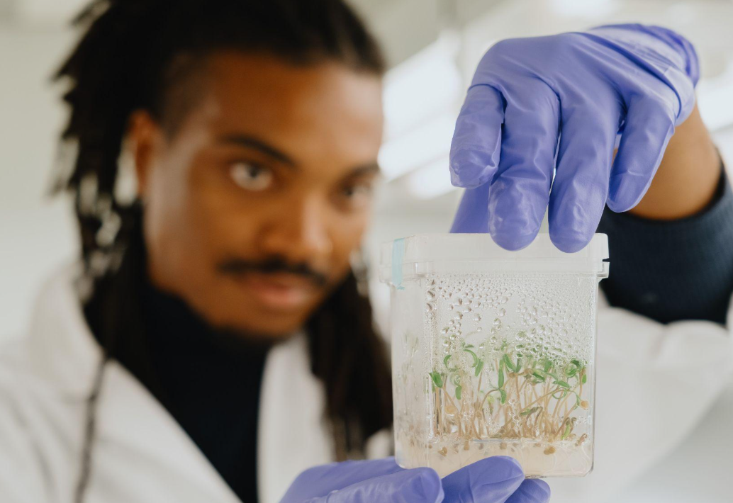 Genomines lève 45 millions de dollars en série A pour redéfinir l'extraction mondiale des métaux ...